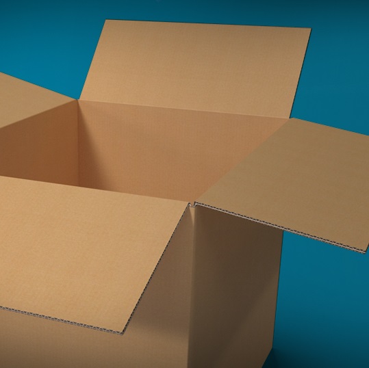 The seven principles of testing | Insight | Box UK